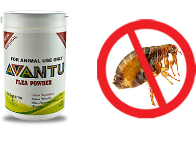 Flea Repellent Powder – Africote Limited